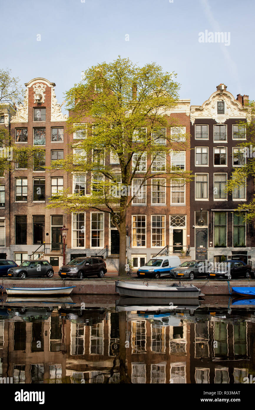 Dutch hop tree hi-res stock photography and images - Alamy