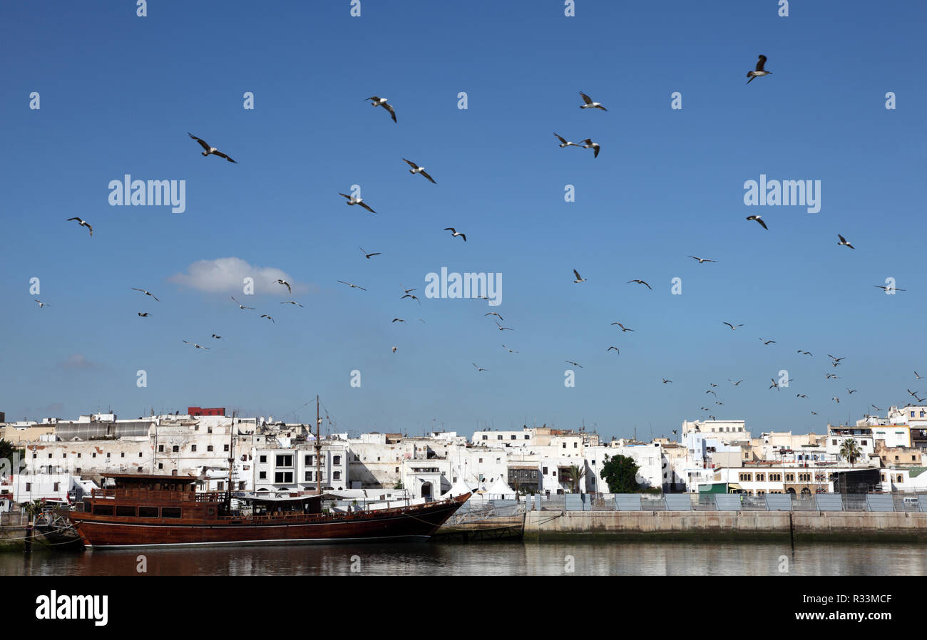 River bouregreg hi-res stock photography and images - Alamy