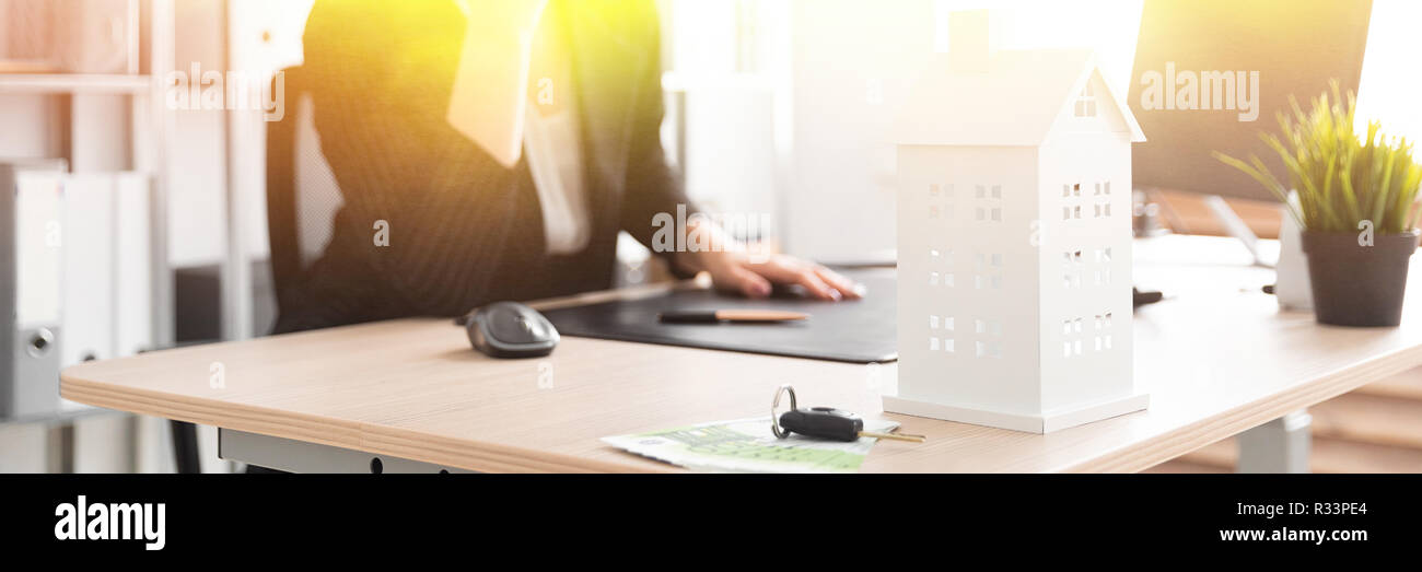 Photo with depth of field, a dedicated focus on the layout of the house ...