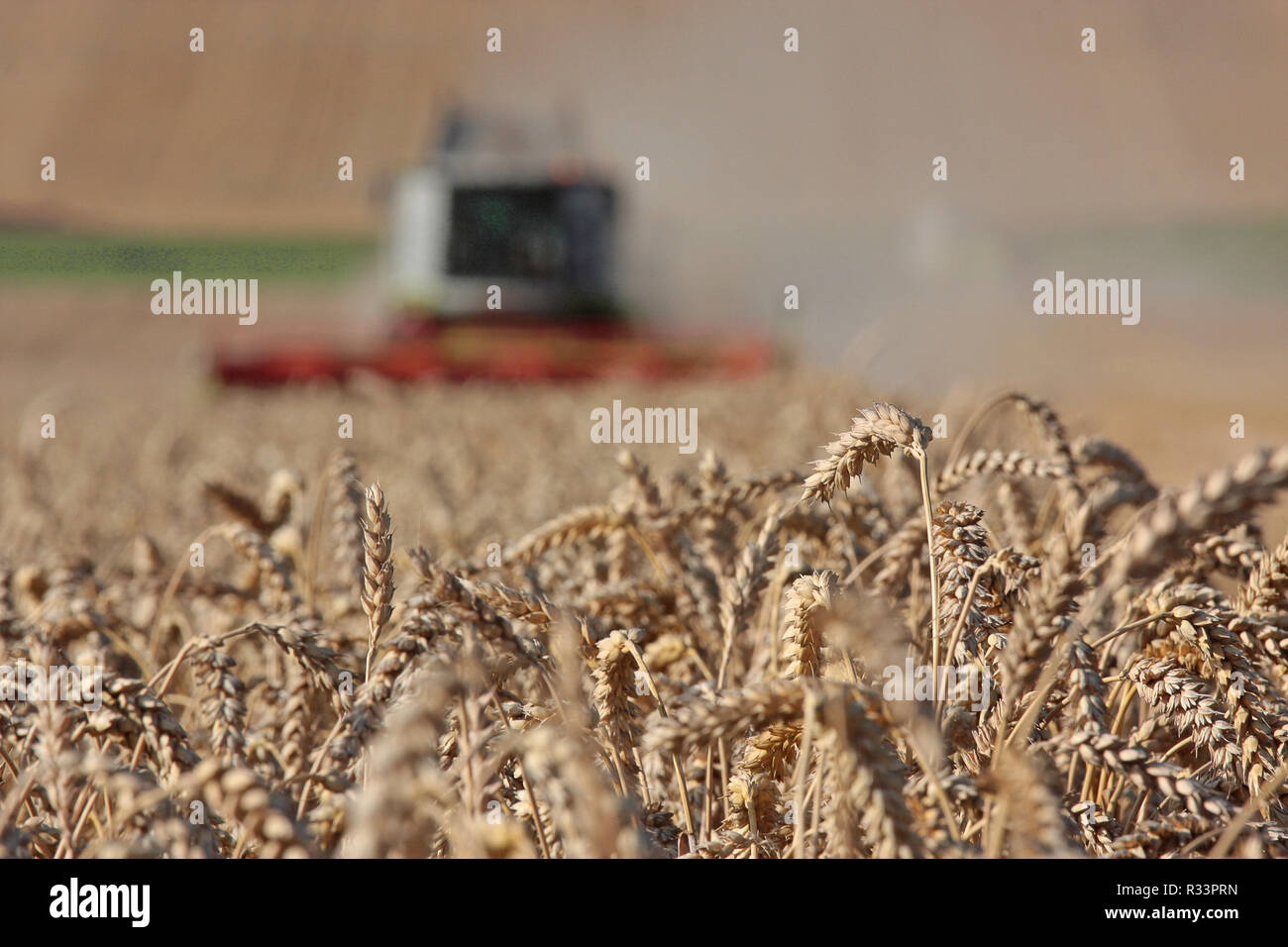time of harvest Stock Photo - Alamy