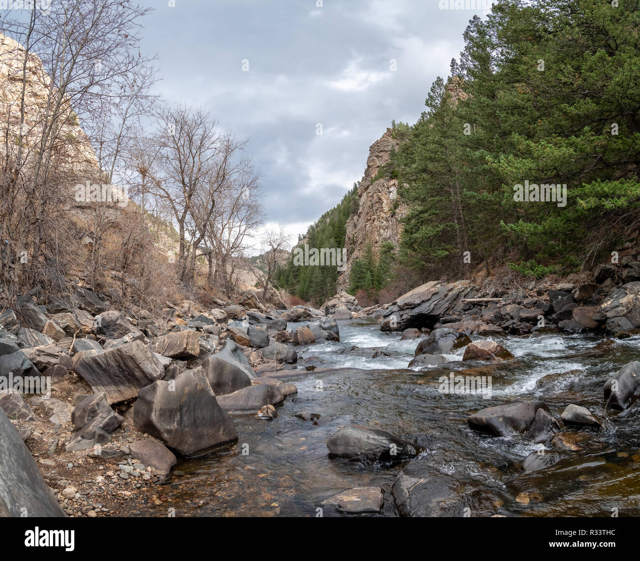View of Colorado Wild Vegetation With Water Stream in the Middle Stock ...