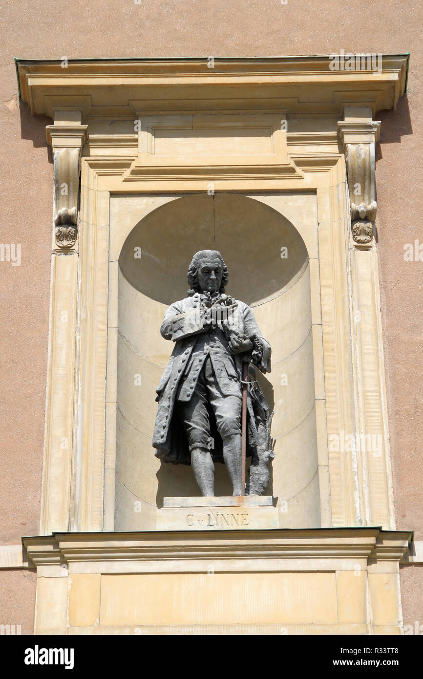 Statue of carl linnaeus hi-res stock photography and images - Alamy
