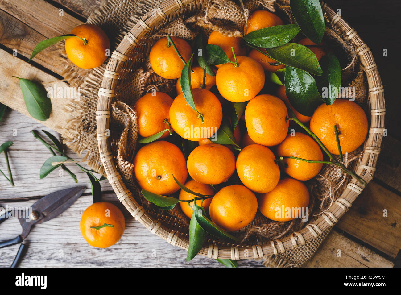 Fresh ripe mandarin fruits Stock Photo - Alamy