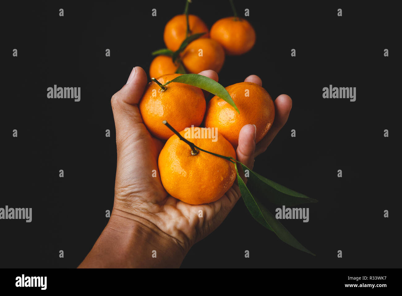 Fresh ripe mandarin fruits Stock Photo - Alamy