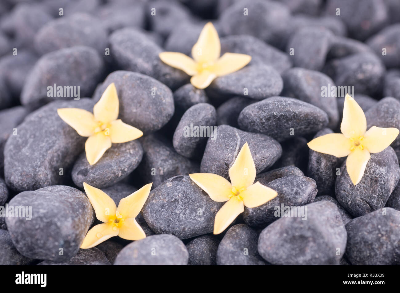 Cluster pebbles hi-res stock photography and images - Alamy