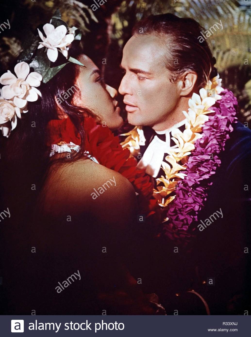 Tarita Stock Photos & Tarita Stock Images - Alamy