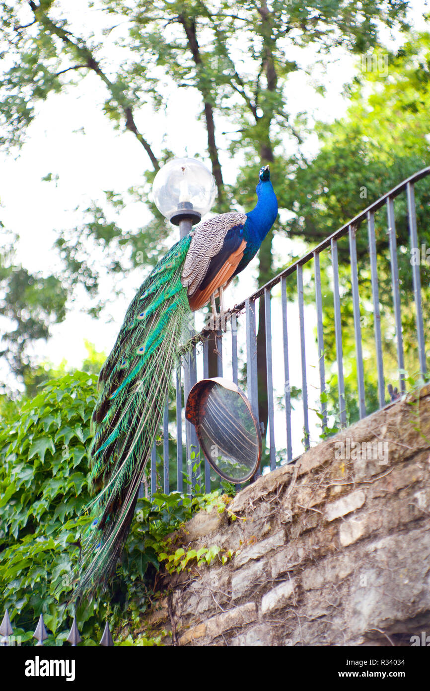 Gantry studio hi-res stock photography and images - Alamy