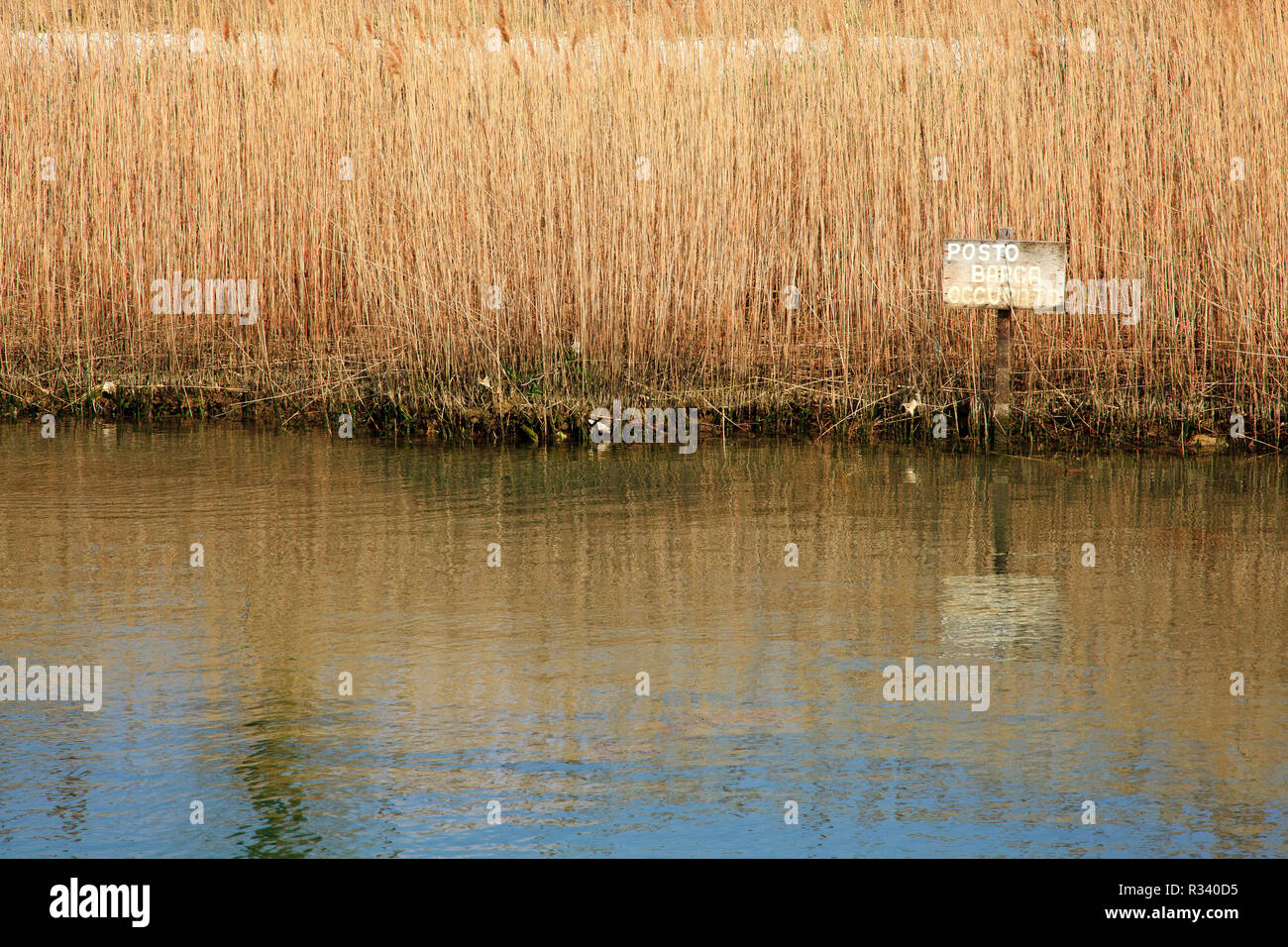 Timavo river hi-res stock photography and images - Alamy