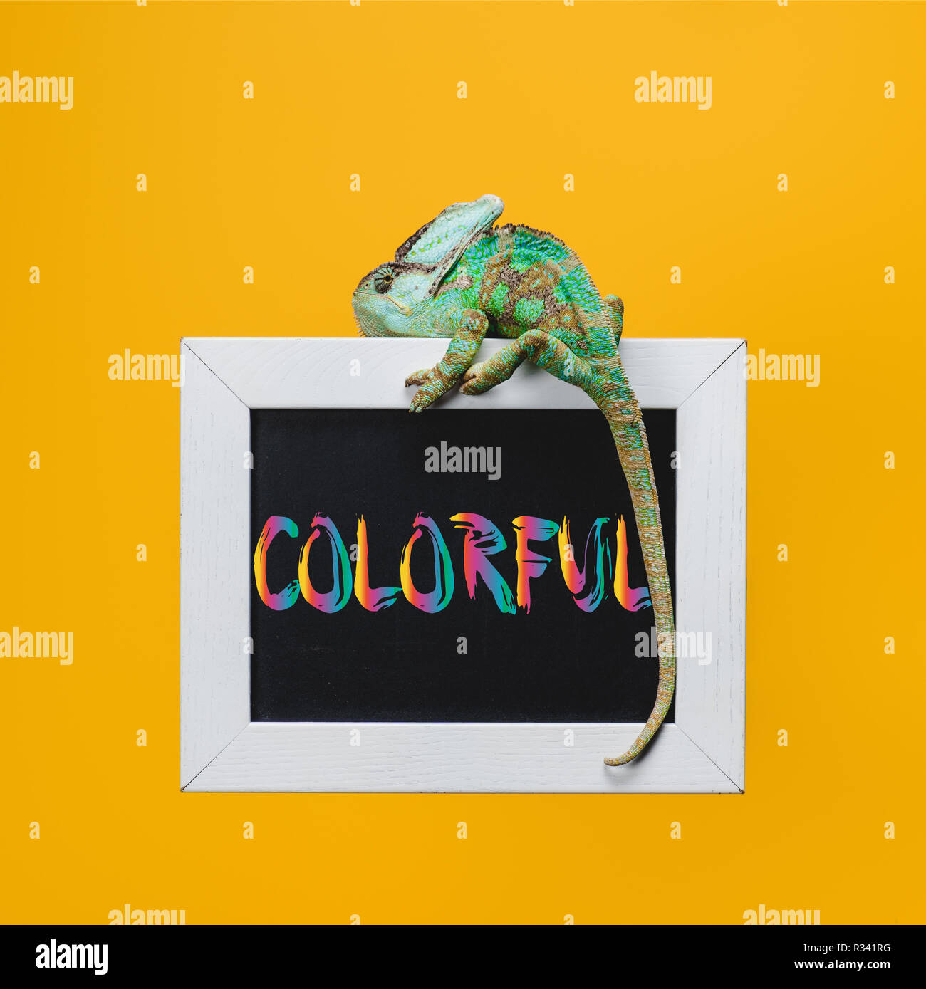 Exotic signs hi-res stock photography and images - Alamy