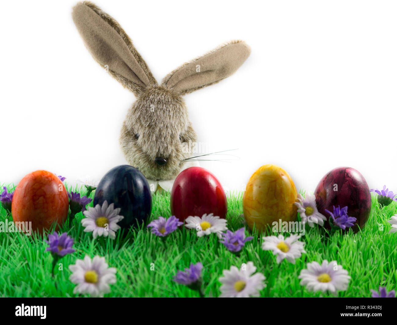 Easter bunny hides eggs hi-res stock photography and images - Alamy