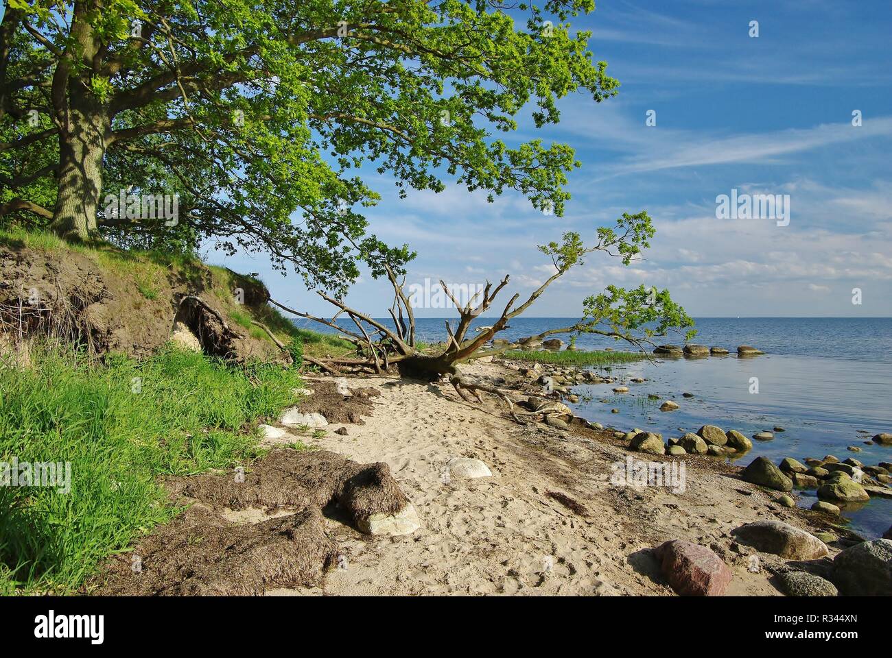 Sa dra gen hi-res stock photography and images - Alamy