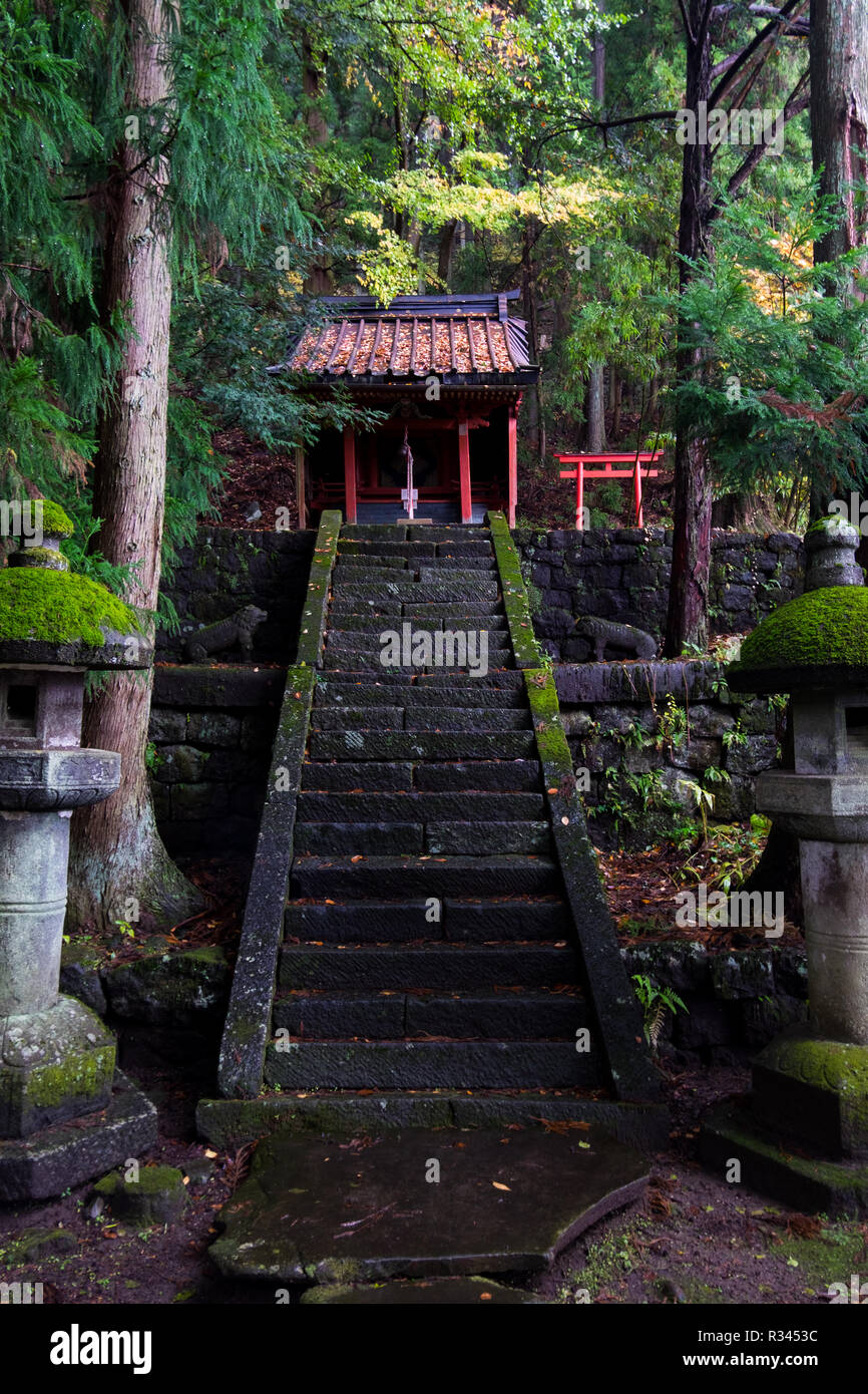 Seiryu stone hi-res stock photography and images - Alamy