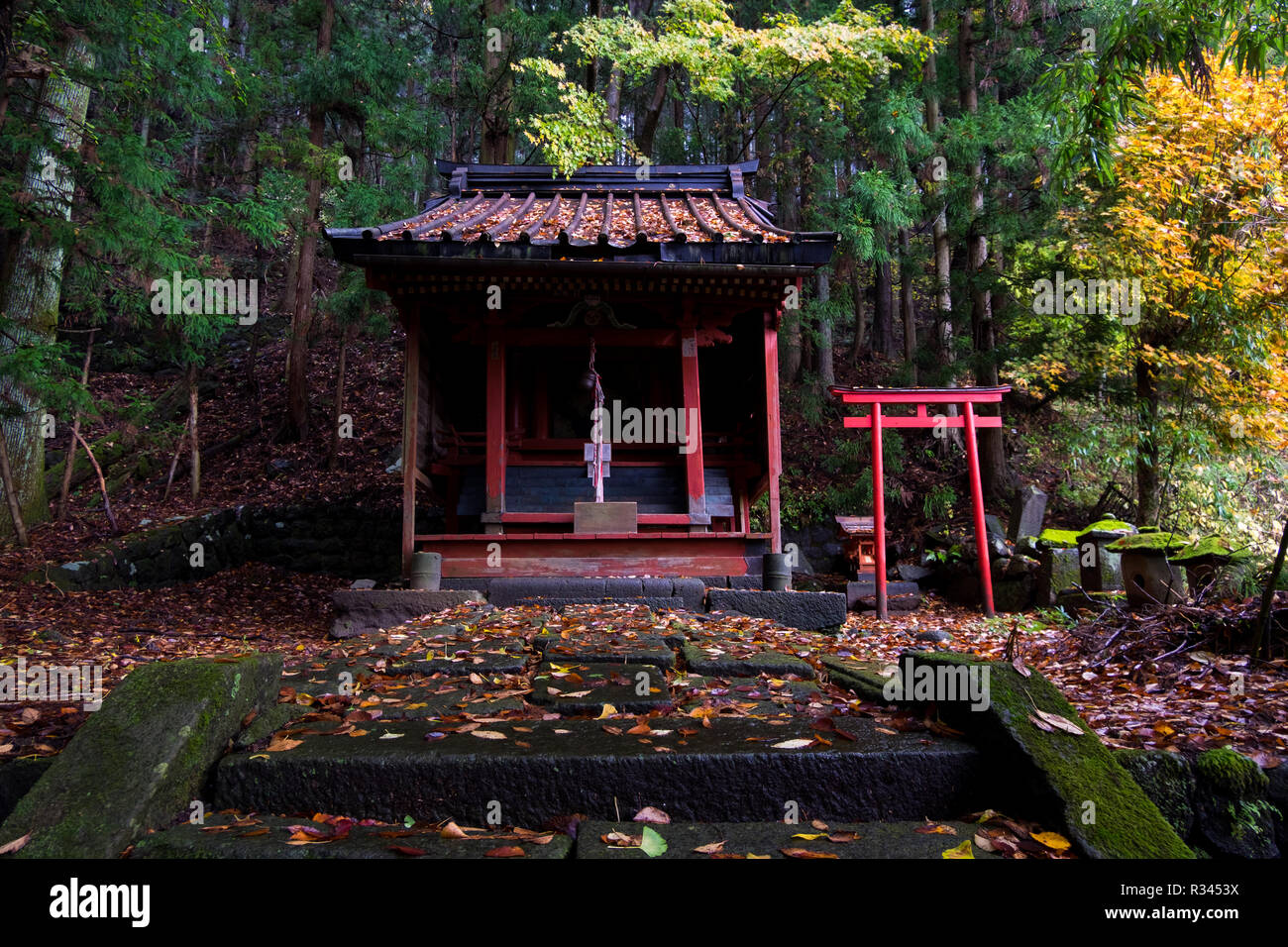 The Seiryu Shrine in Nikko, Japan. A small, red temple is featured ...
