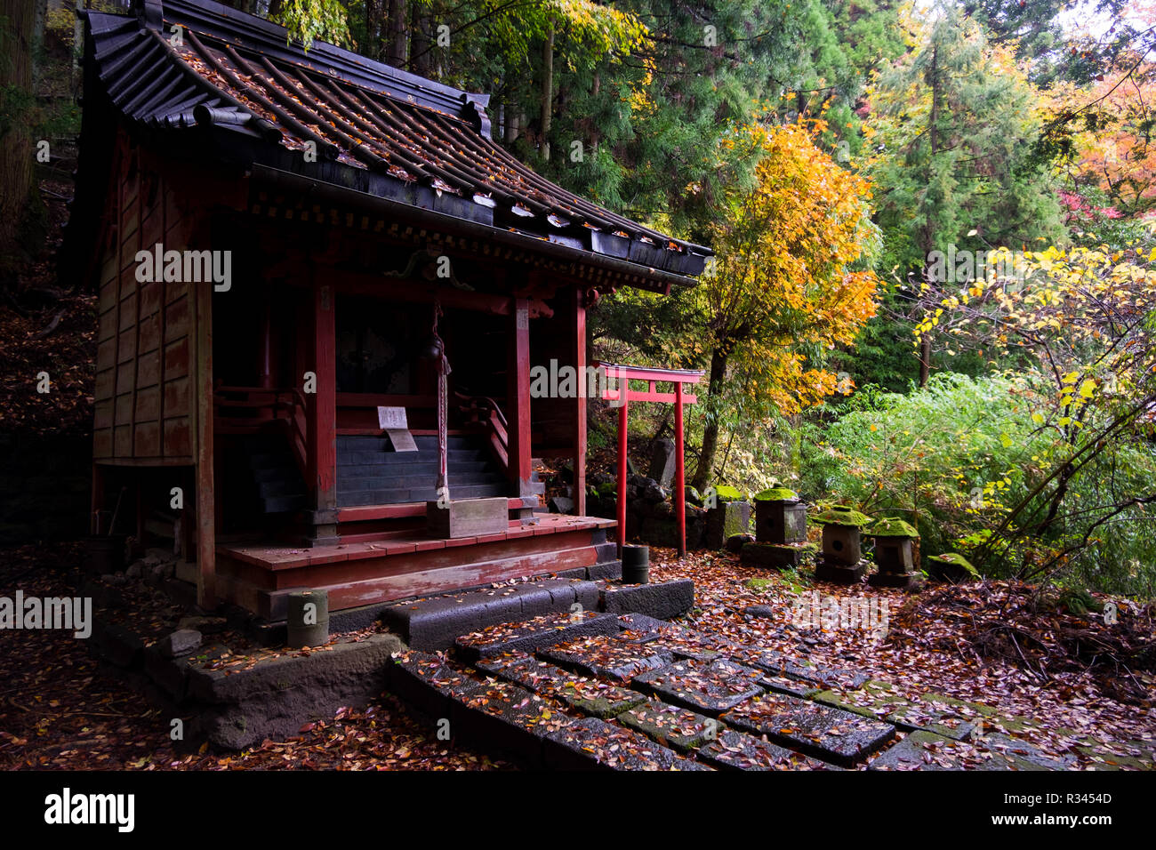 The Seiryu Shrine in Nikko, Japan. A small, red temple is featured ...