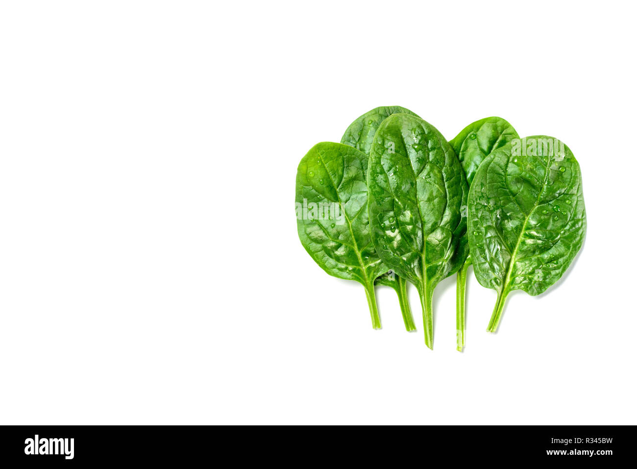 Top view of wet fresh spinach leaves isolated on white Stock Photo - Alamy