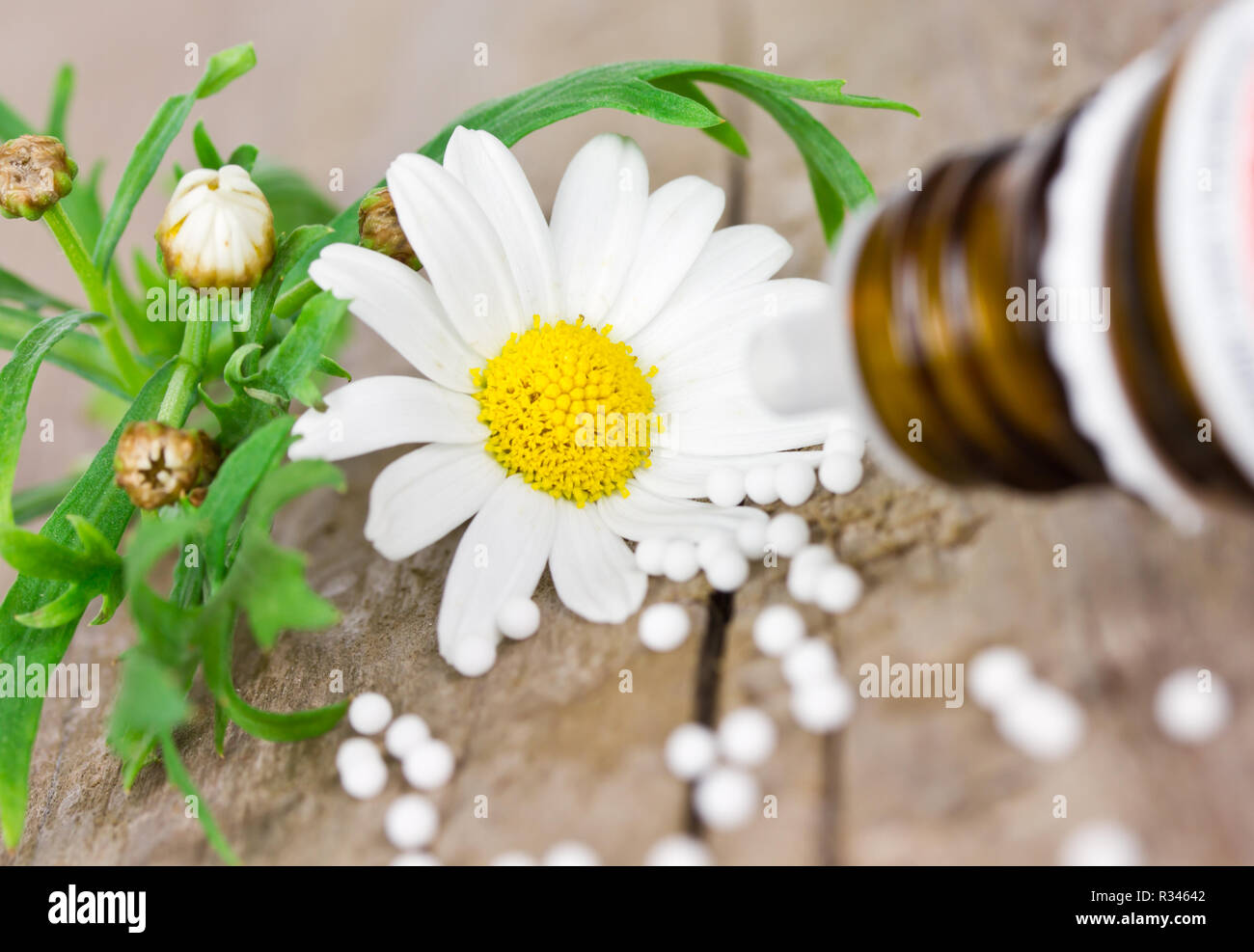 Wood pellet plant hi-res stock photography and images - Alamy