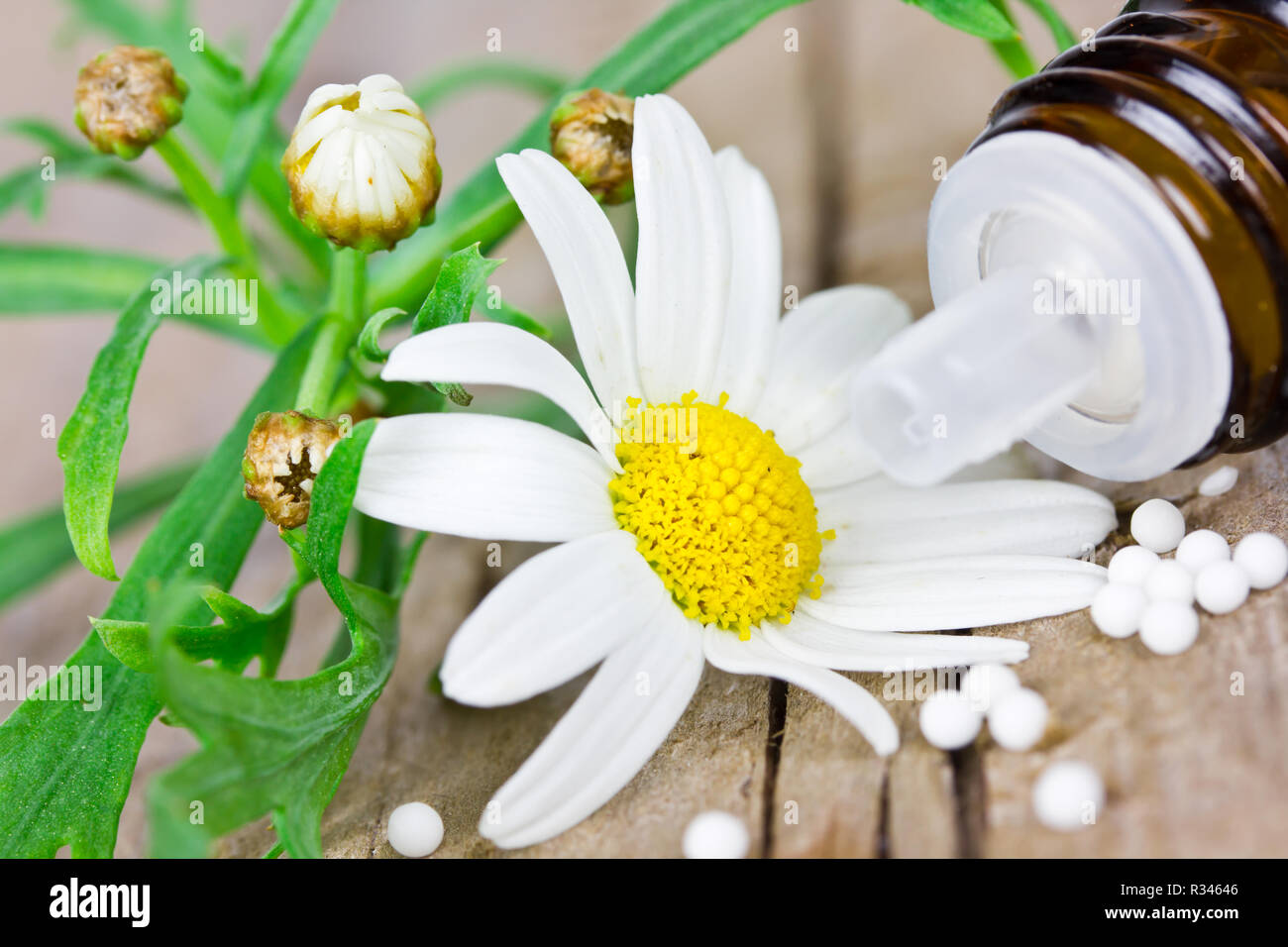 Wood pellet plant hi-res stock photography and images - Alamy
