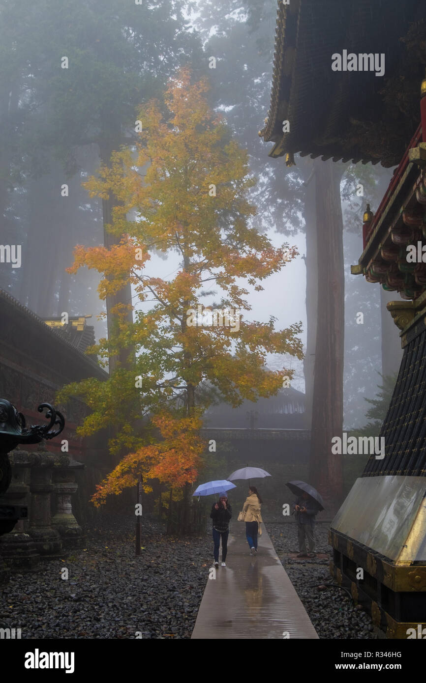 Sigular hi-res stock photography and images - Alamy