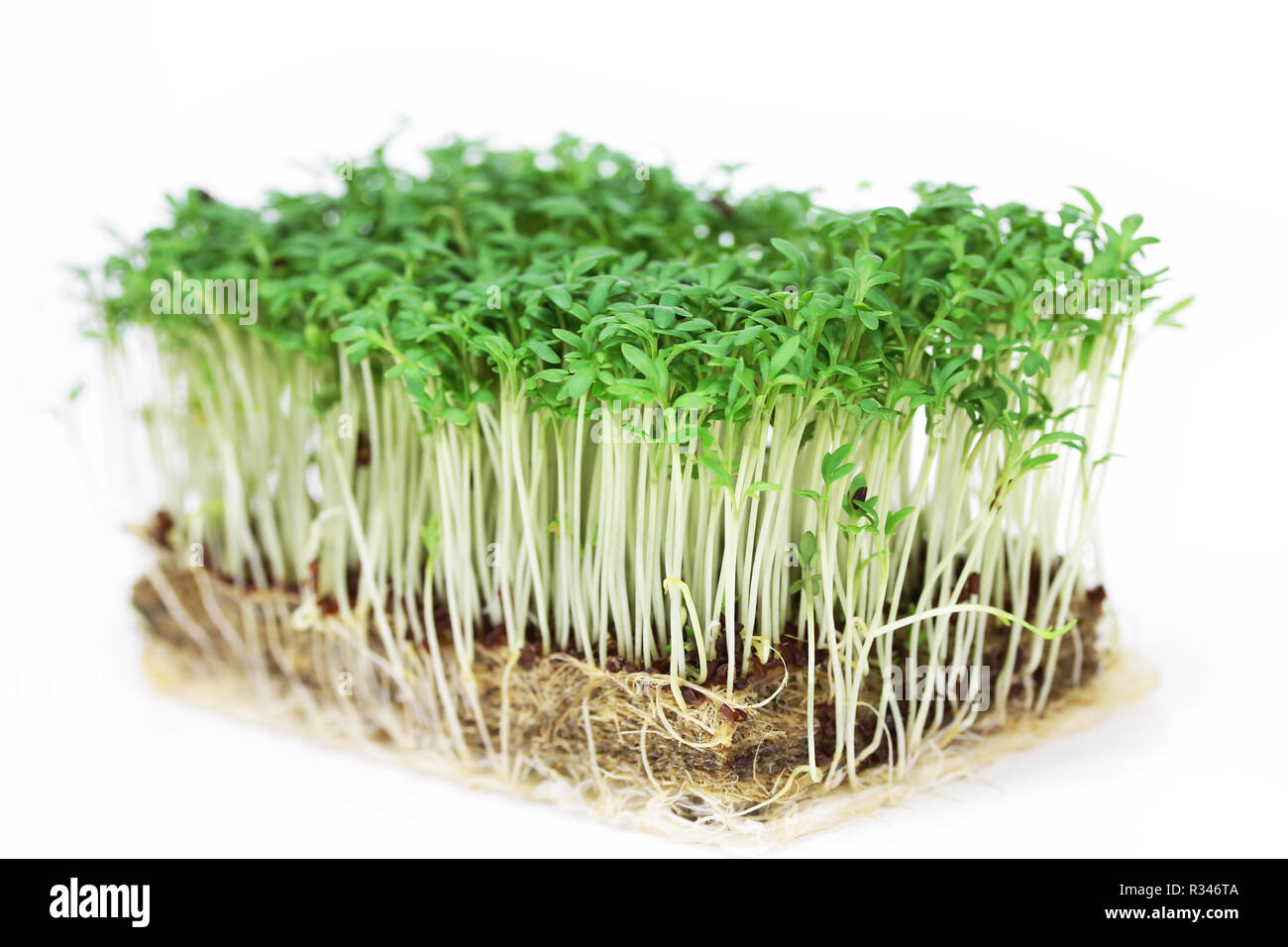 Germed hi-res stock photography and images - Alamy