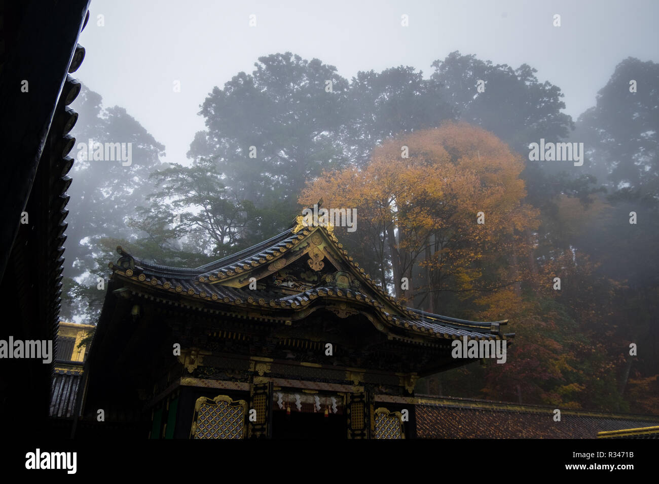 Architectural details and fall color in the mist at Toshogu in Nikko ...