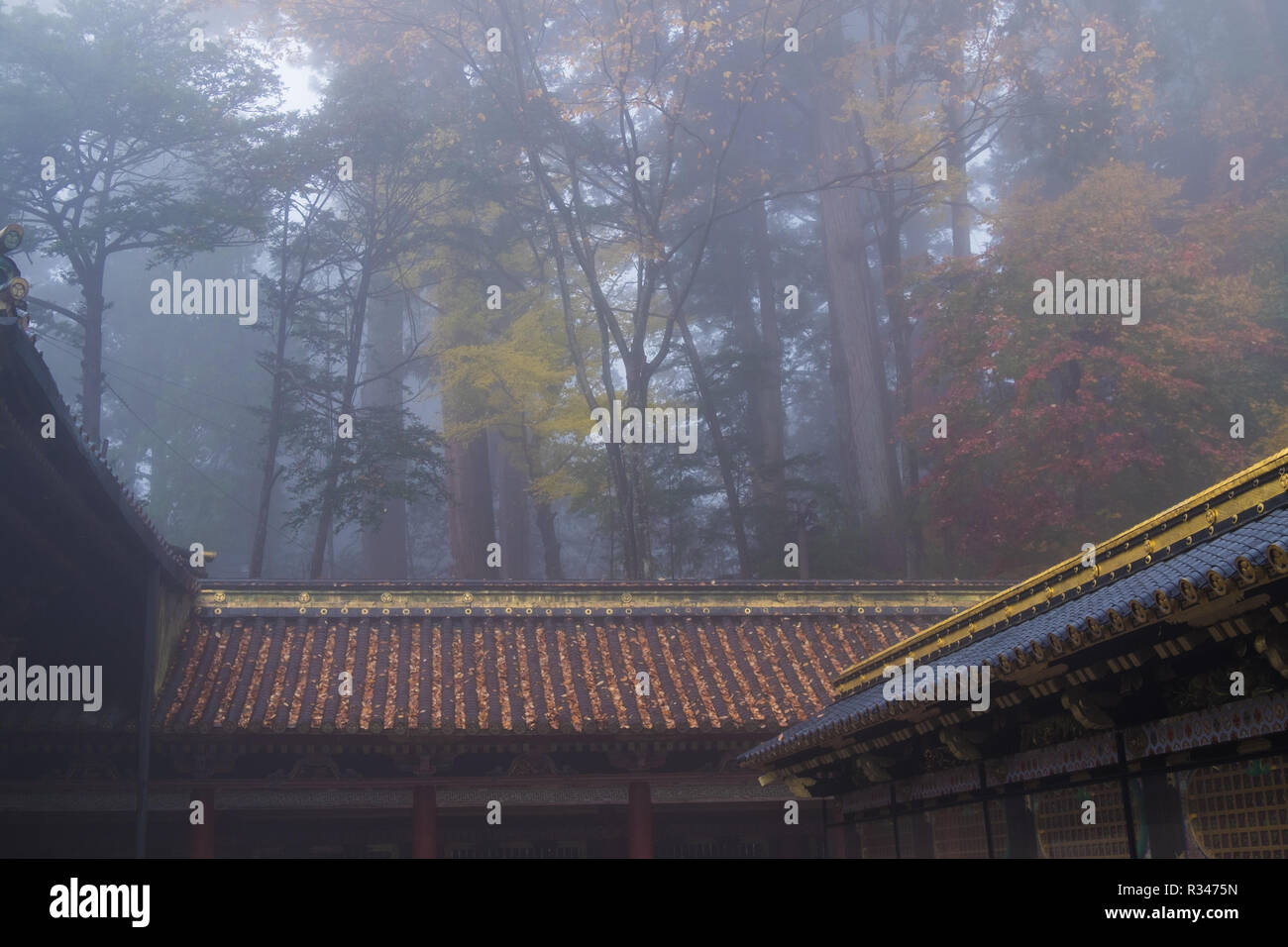 Stunning and beautiful Japanese shrine, temple architectural details ...