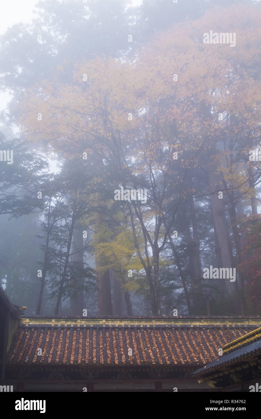 Stunning and beautiful Japanese shrine, temple architectural details ...