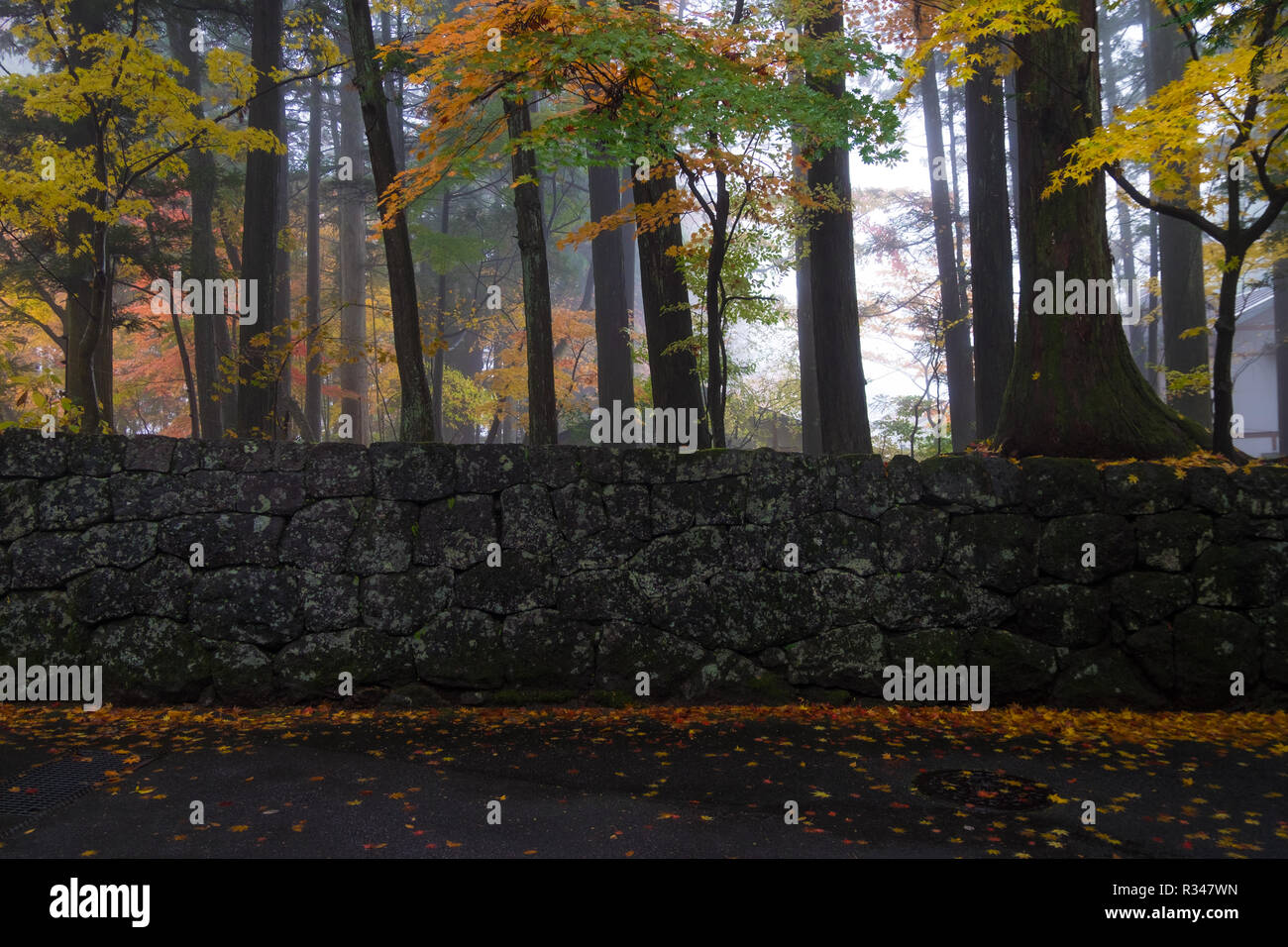 A stone wall and fall color in Nikko Japan, a great image for an ...