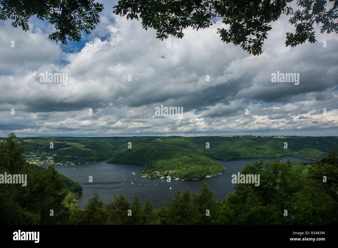 rurtalsperre the eifel national park Stock Photo - Alamy