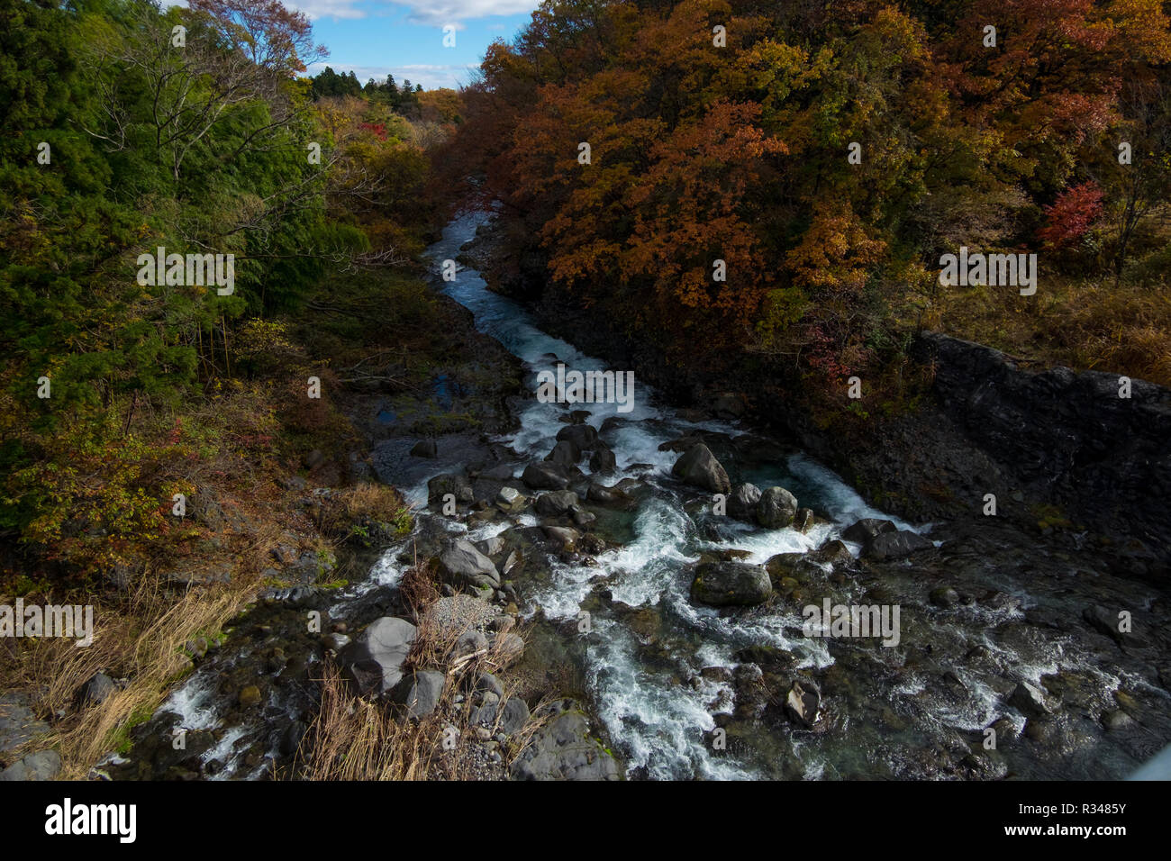 The Daiya river flowing through Nikko, Japan at peak fall color Stock ...
