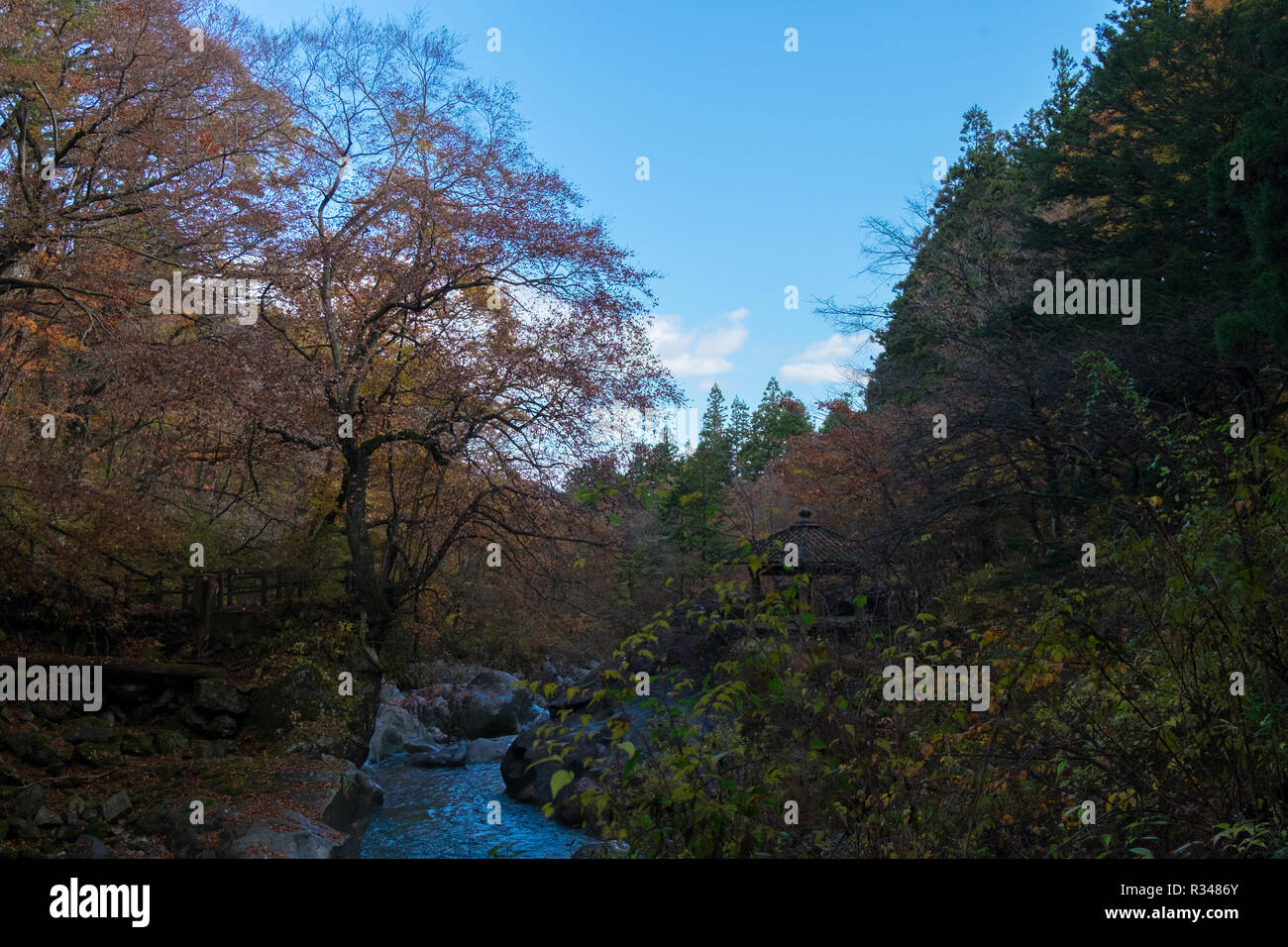 A Japanese pagoda along the Daiya river in Nikko, Japan during peak ...