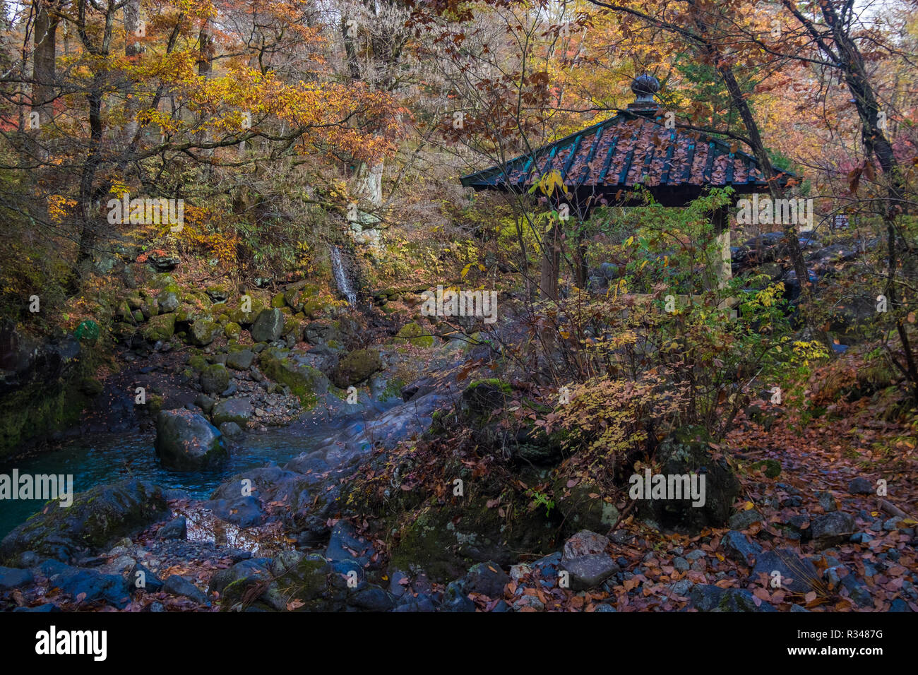 A Japanese pagoda along the Daiya river in Nikko, Japan during peak ...
