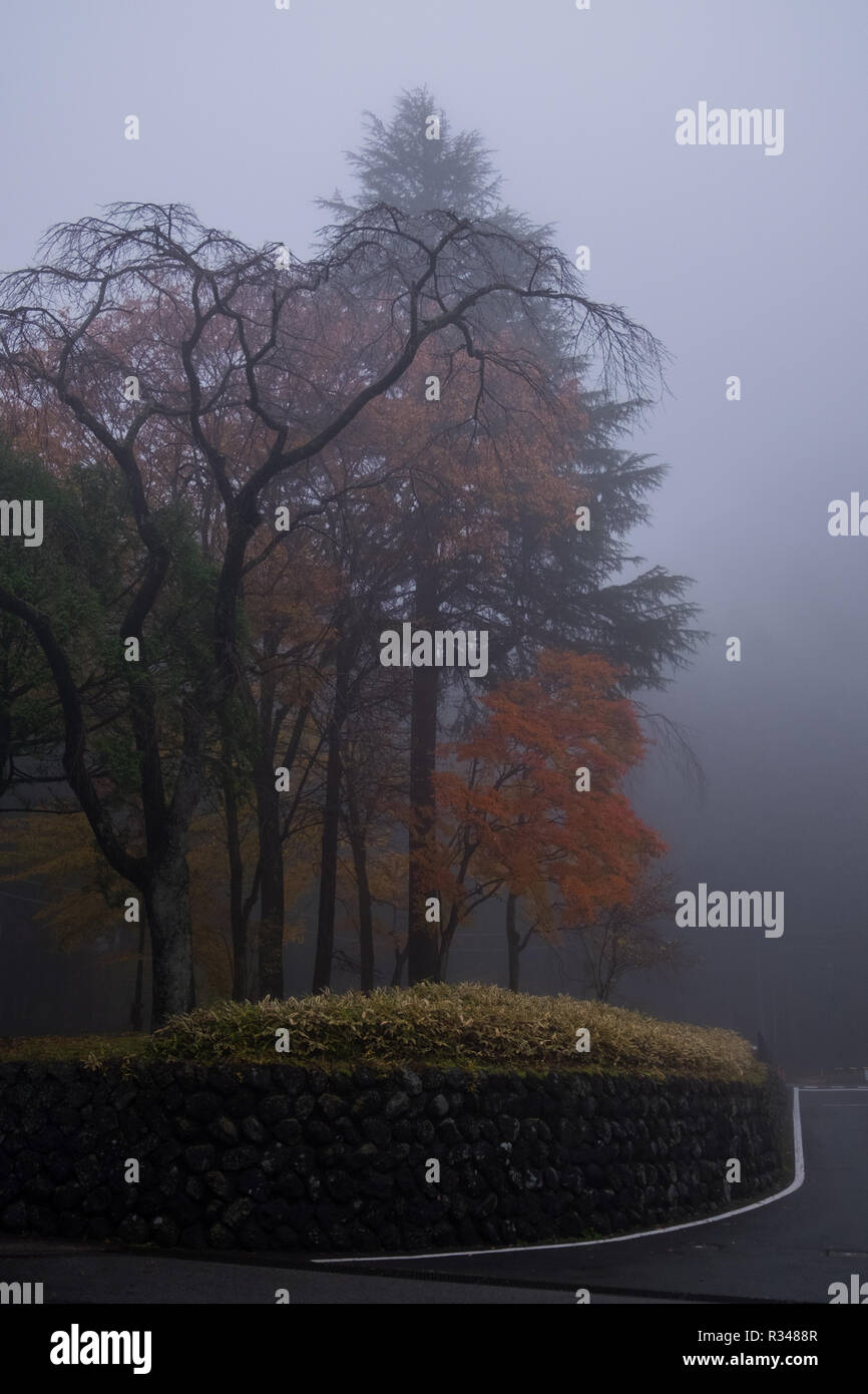Stunning, misty fall color in Nikko, Japan Stock Photo - Alamy