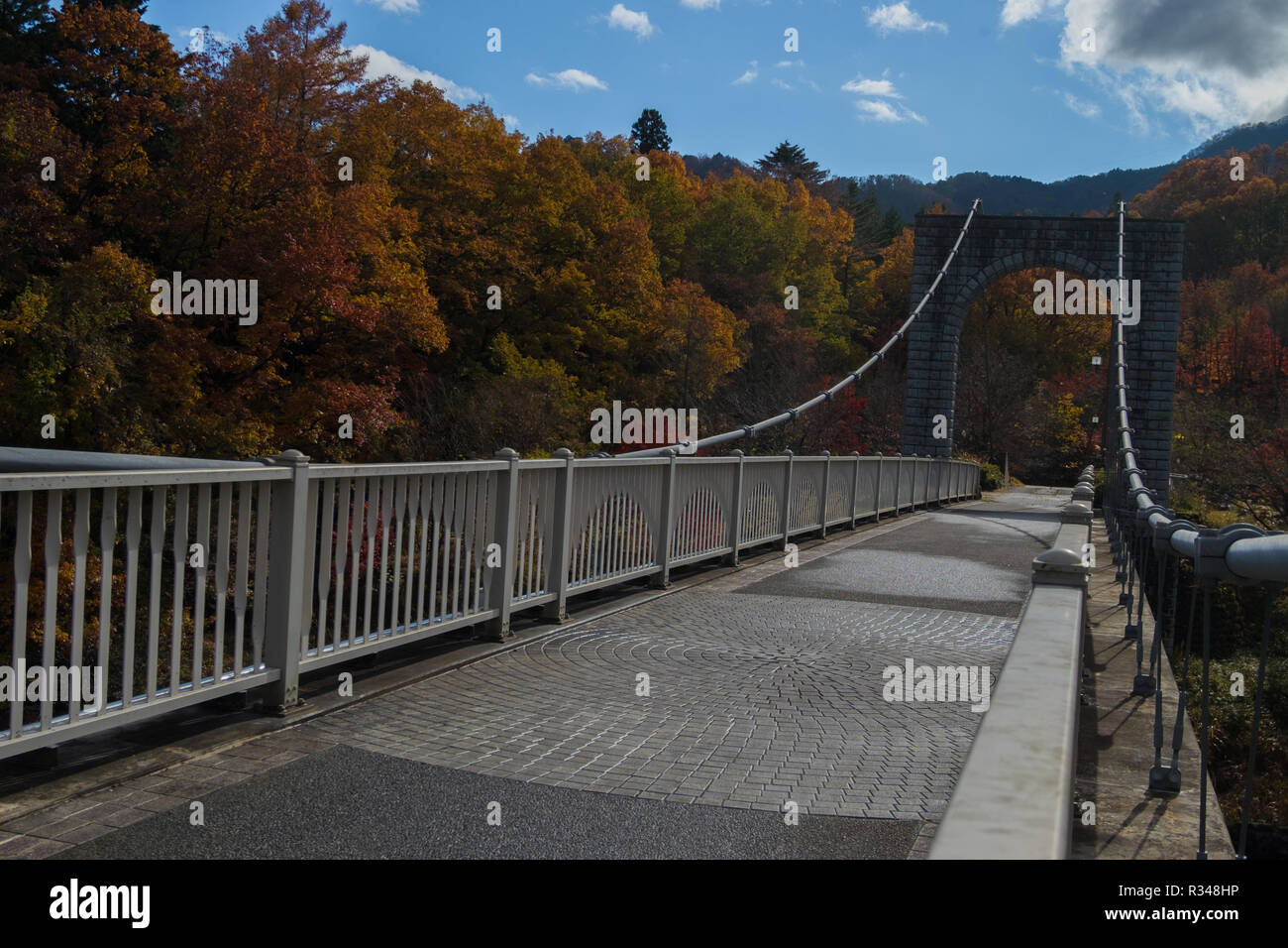 A pedestrian suspension bridge crossing the Daiya river in Nikko, Japan ...