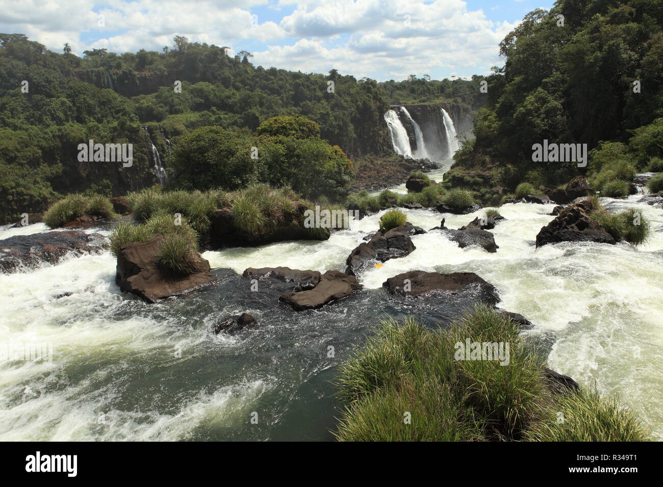 Paraguay brazil border rainforest hi-res stock photography and images ...