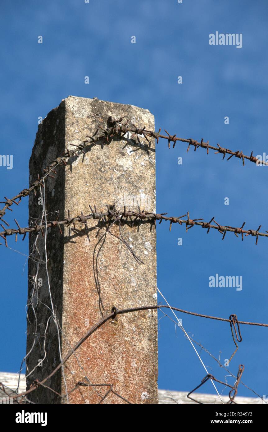 Fencing post wood hi-res stock photography and images - Alamy