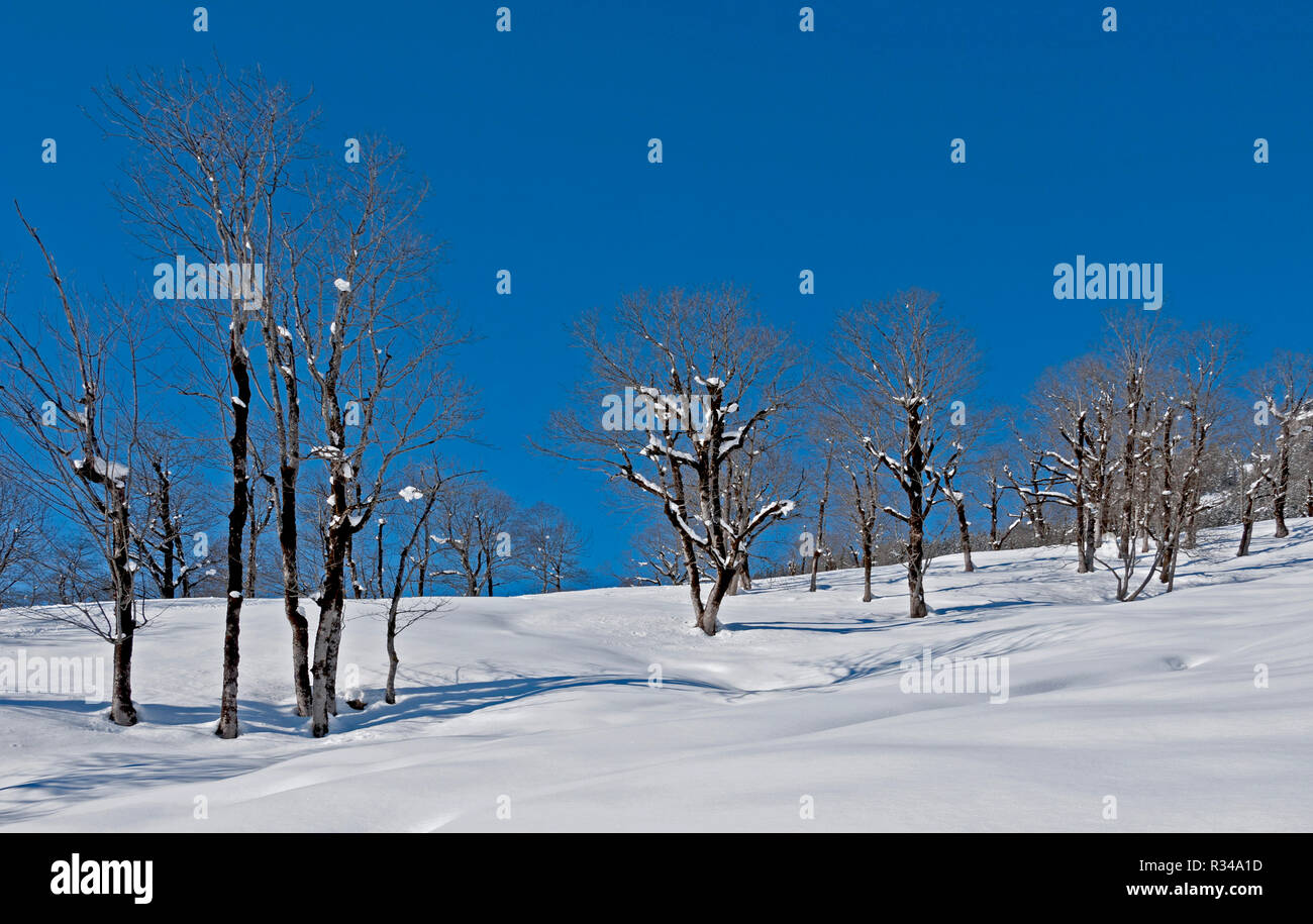 Elm switzerland ski hi-res stock photography and images - Alamy