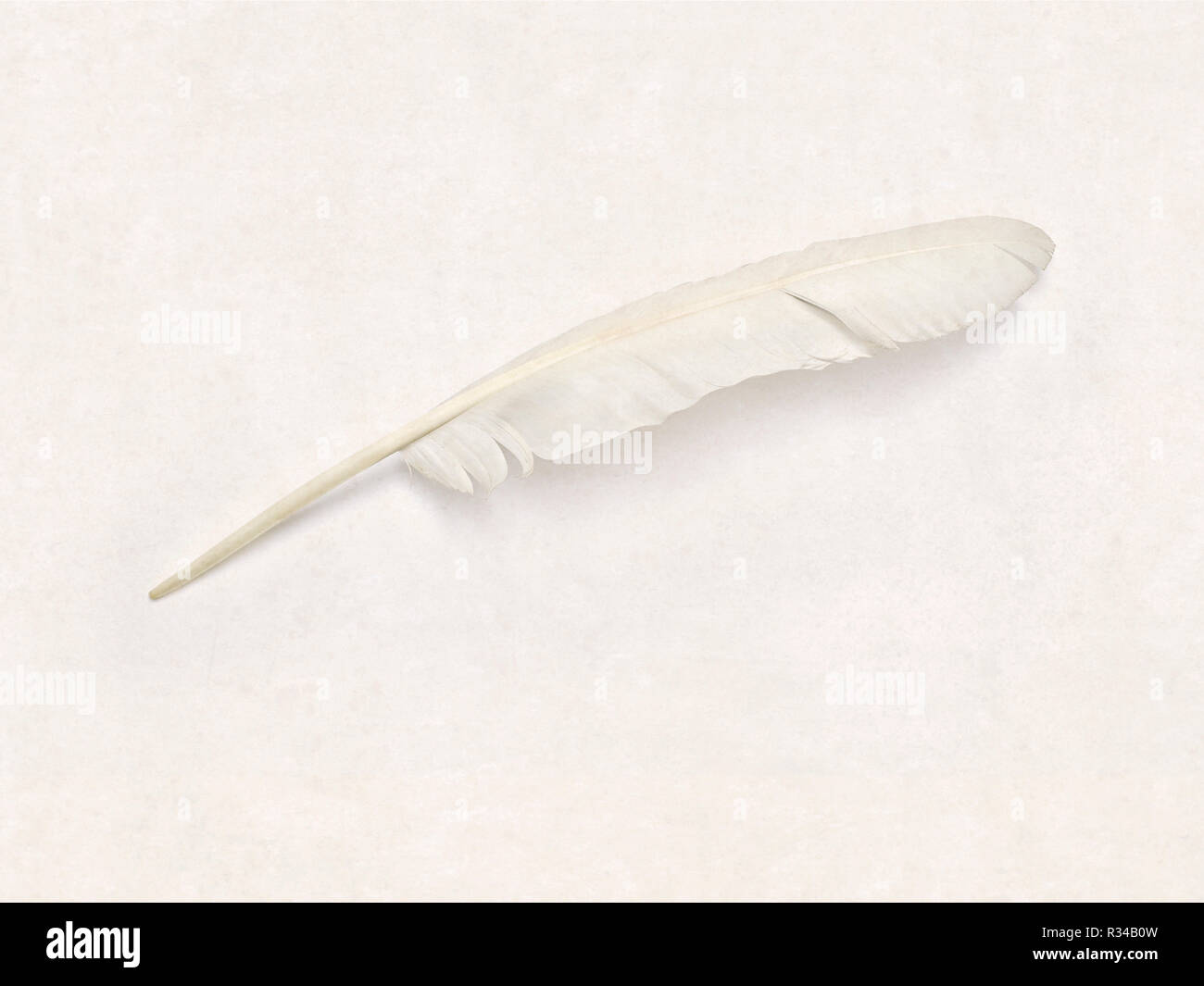 feather write white quill Stock Photo - Alamy