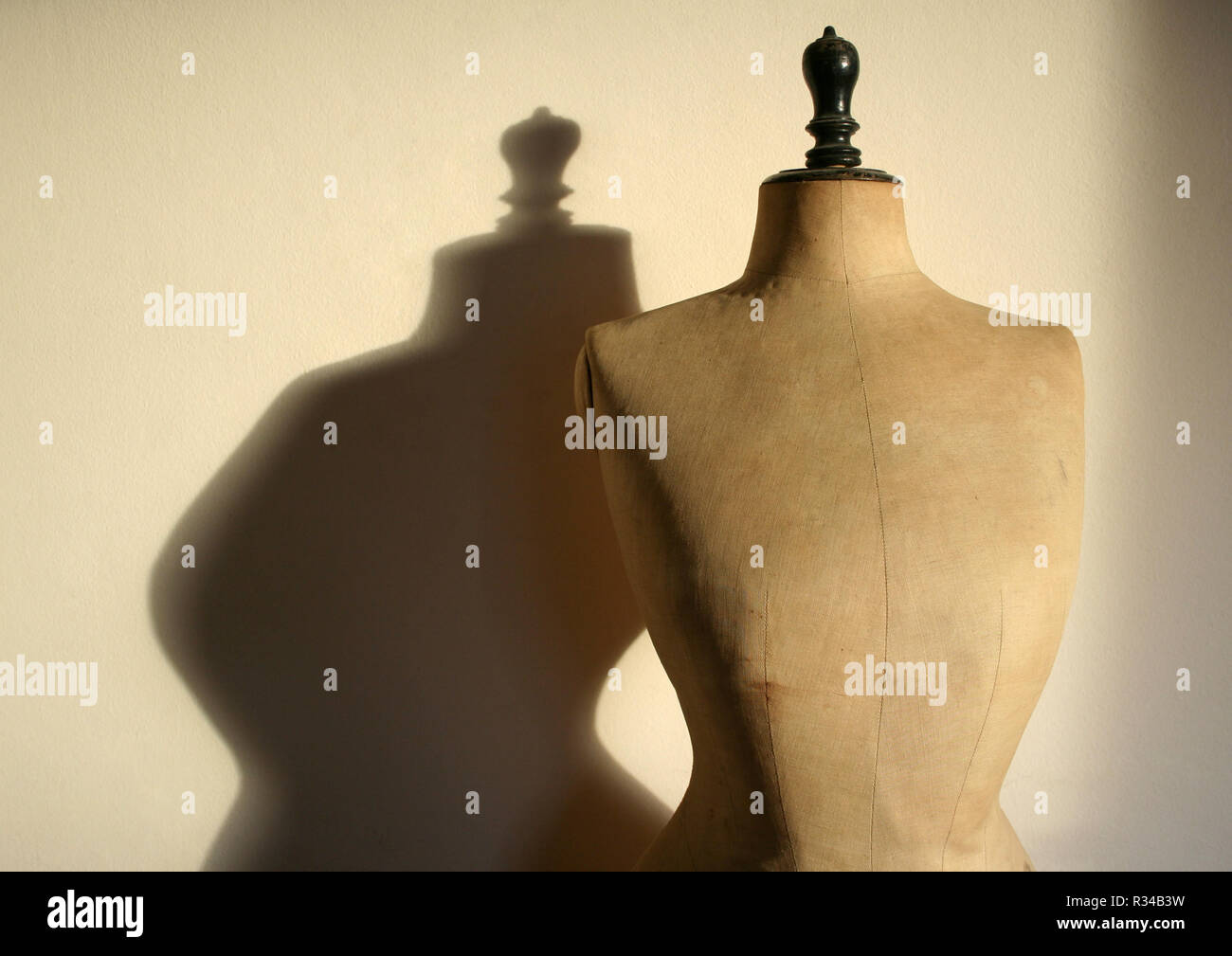The female form photography hi-res stock photography and images - Alamy
