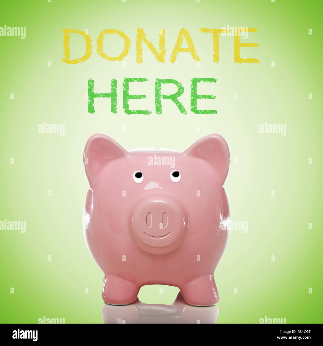 Donor pig hi-res stock photography and images - Alamy