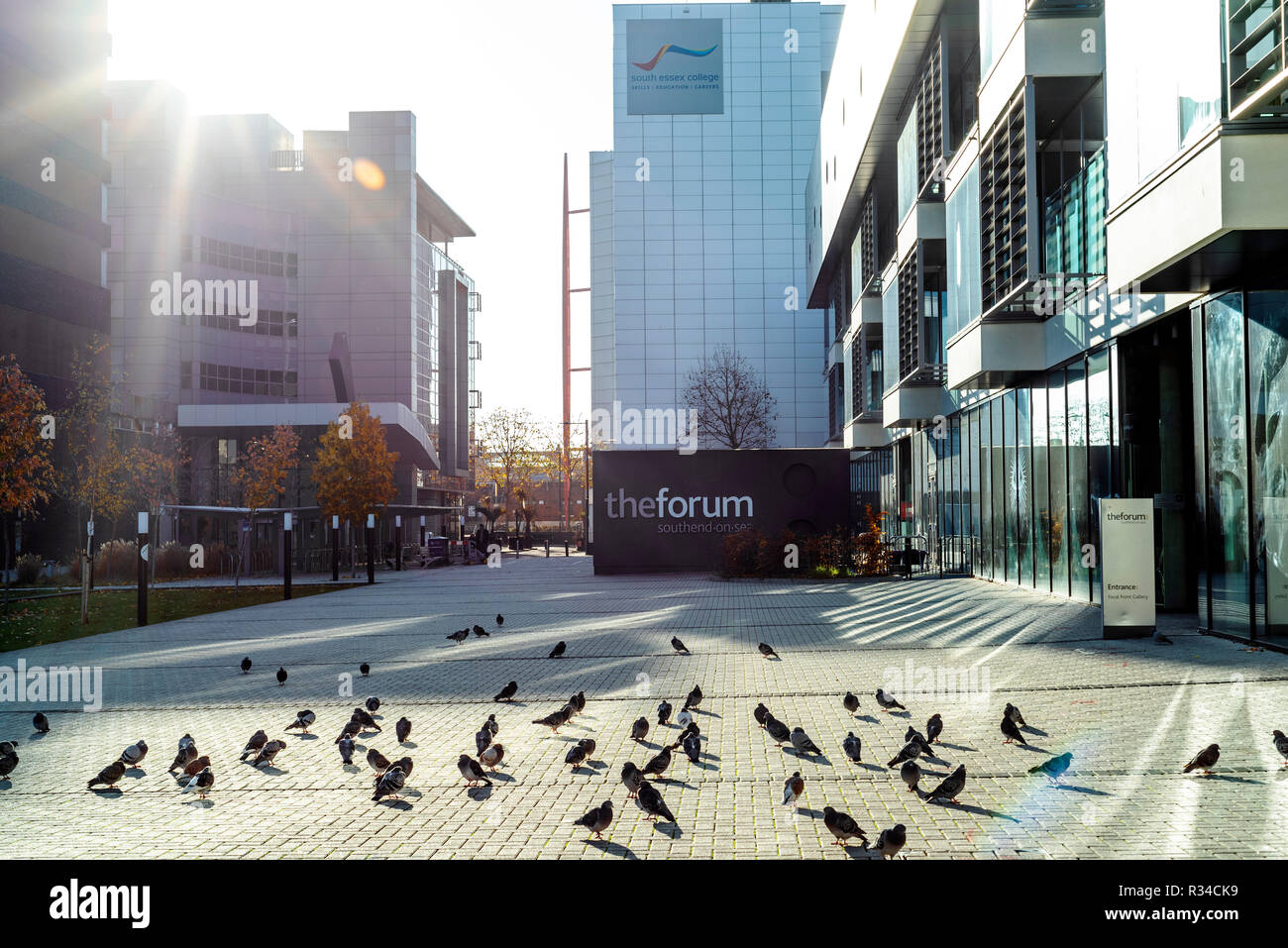 Southend central library hi-res stock photography and images - Alamy