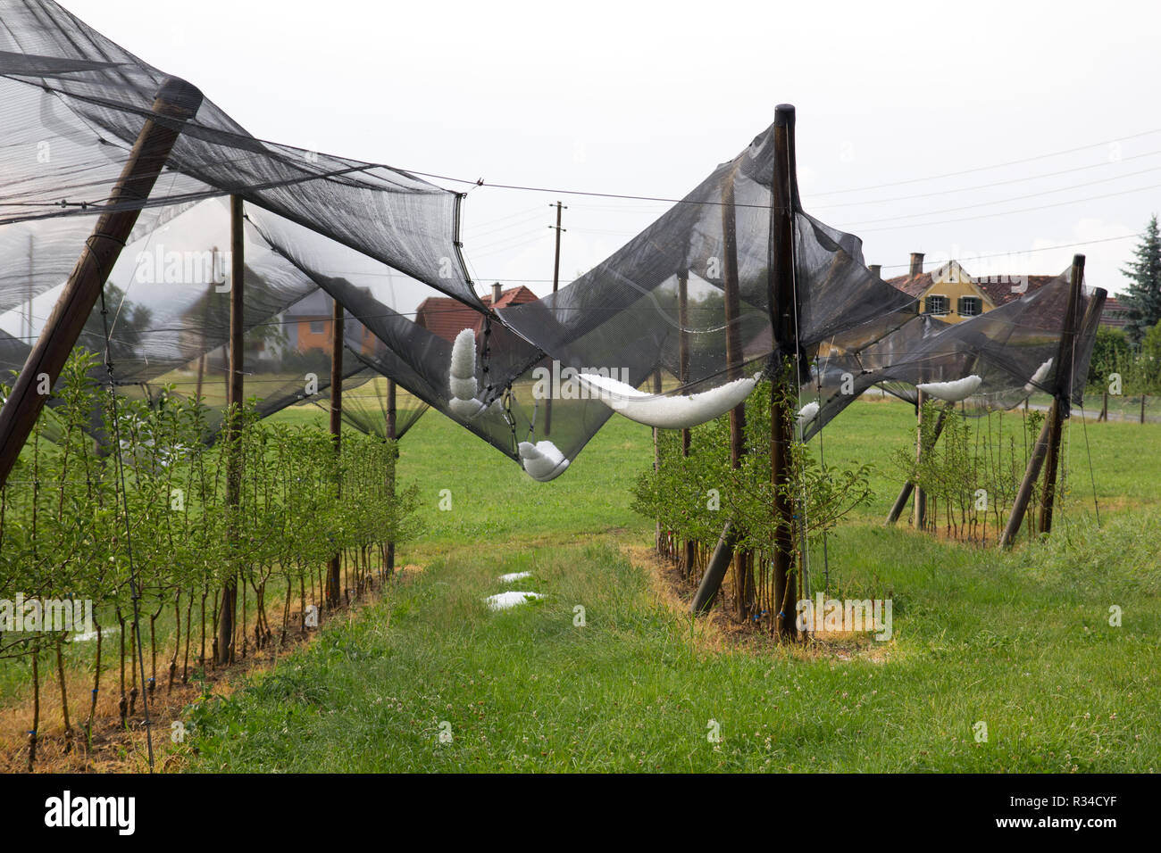 Money rainfall hi-res stock photography and images - Alamy