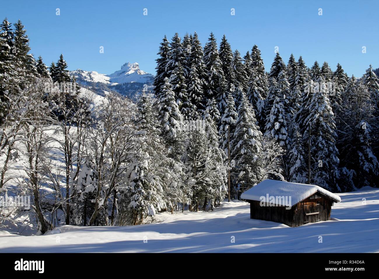 Stoos schweizer alpen hi-res stock photography and images - Alamy