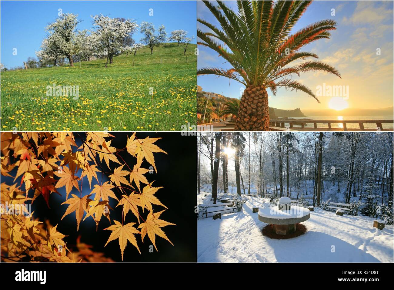 4 seasons collage hi-res stock photography and images - Alamy