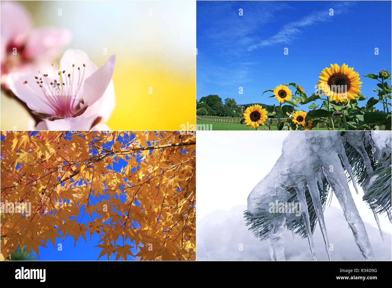4 seasons collage hi-res stock photography and images - Alamy