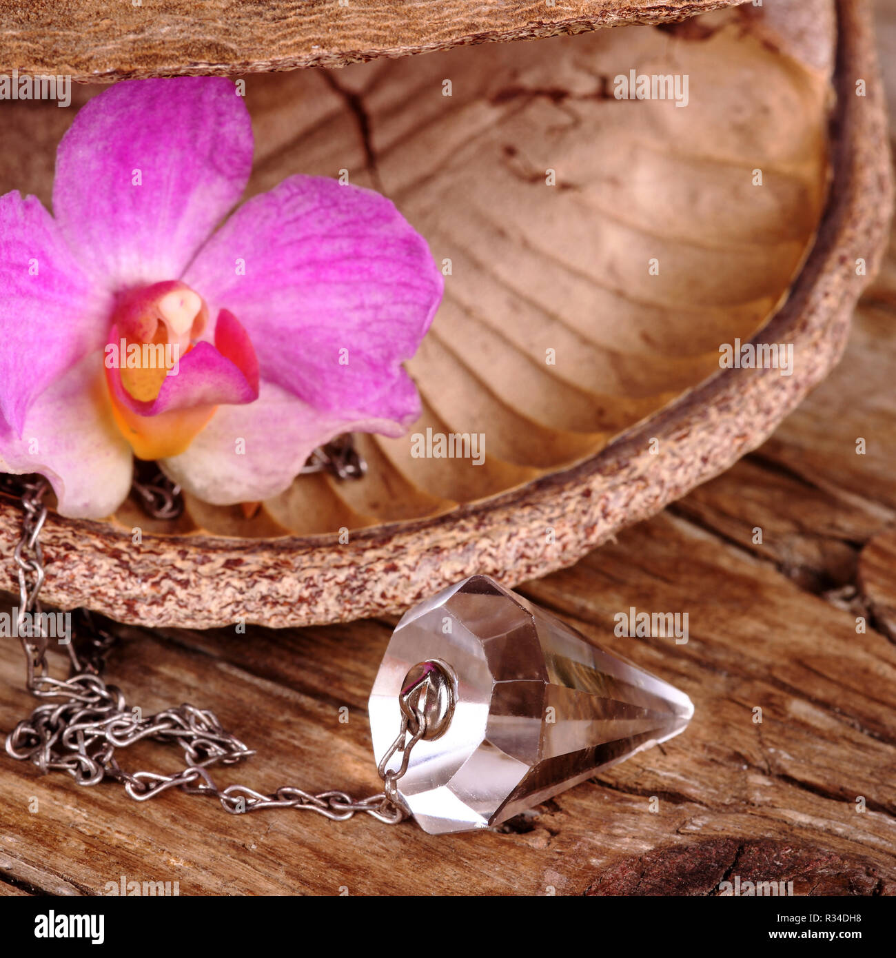 Healing plant symbolism hi-res stock photography and images - Alamy