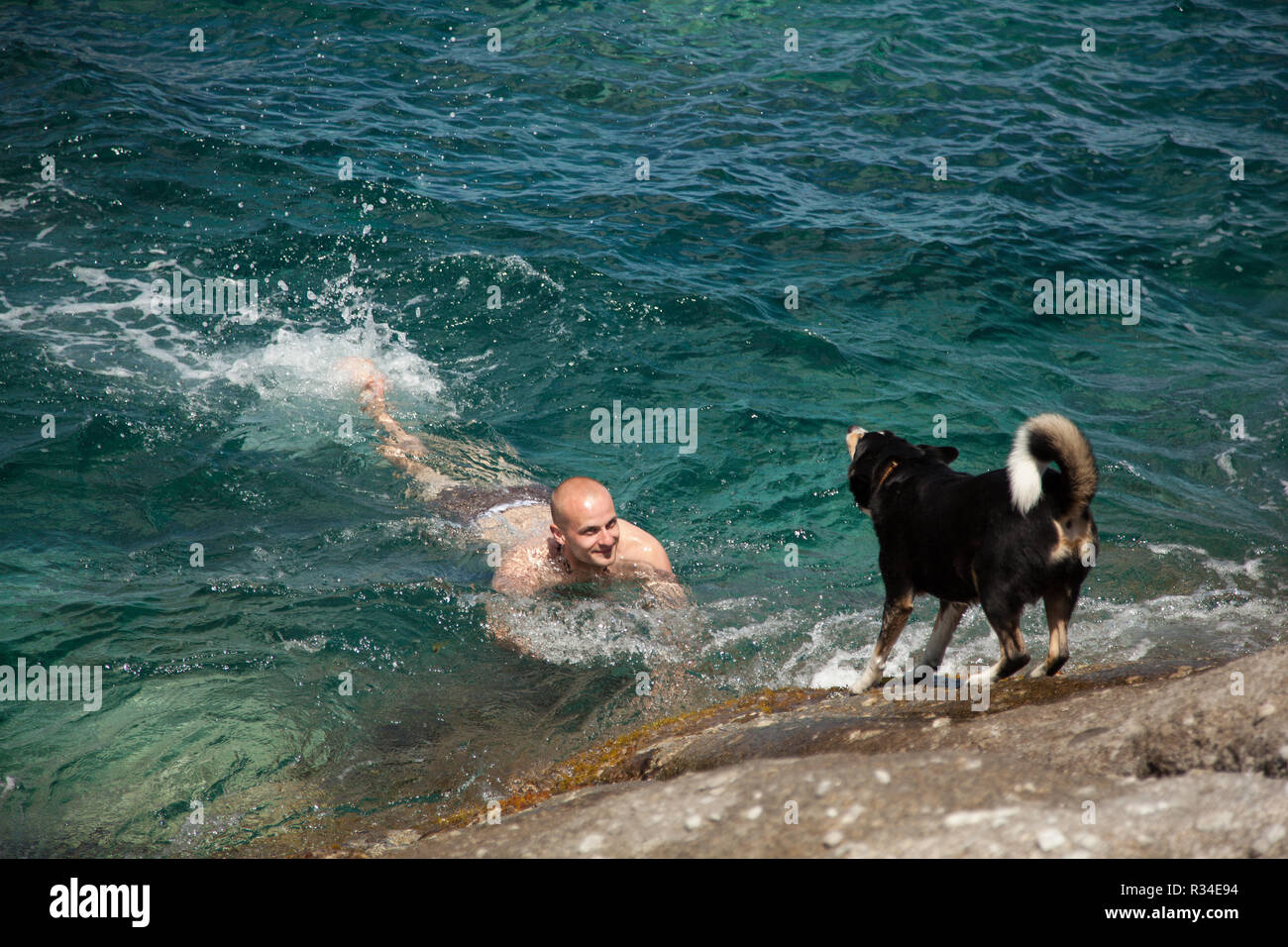 Water rescue dog italy hi-res stock photography and images - Alamy