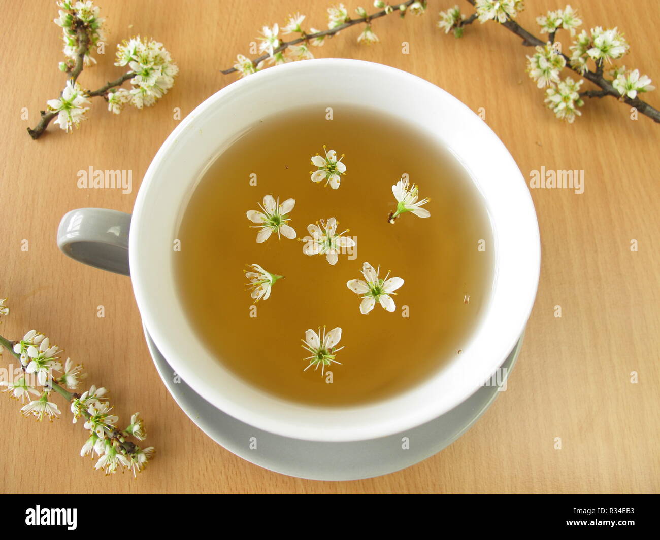 Schlehenbla ten hi-res stock photography and images - Alamy