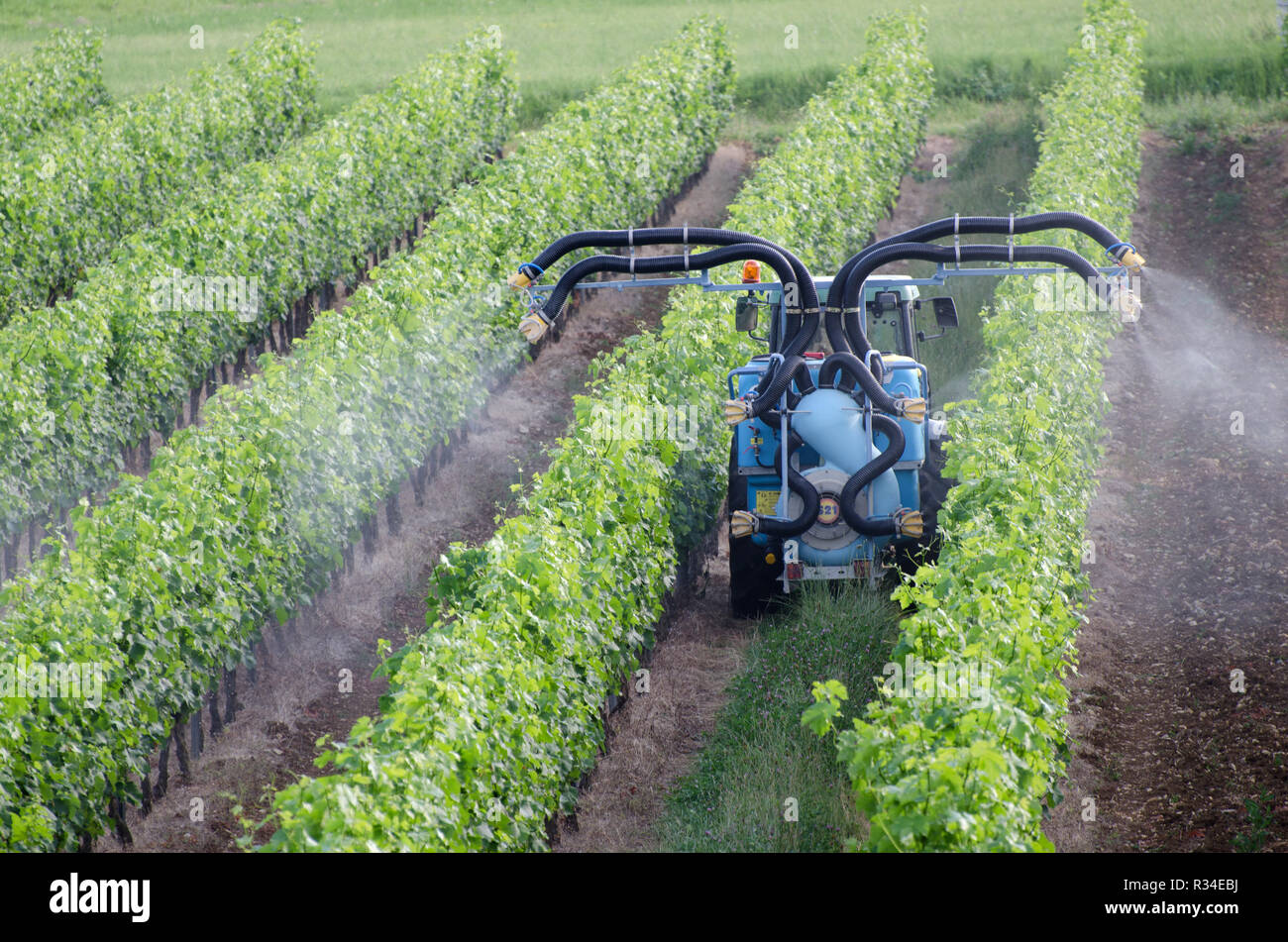 Spraying pesticide vineyard france hi-res stock photography and images - Alamy