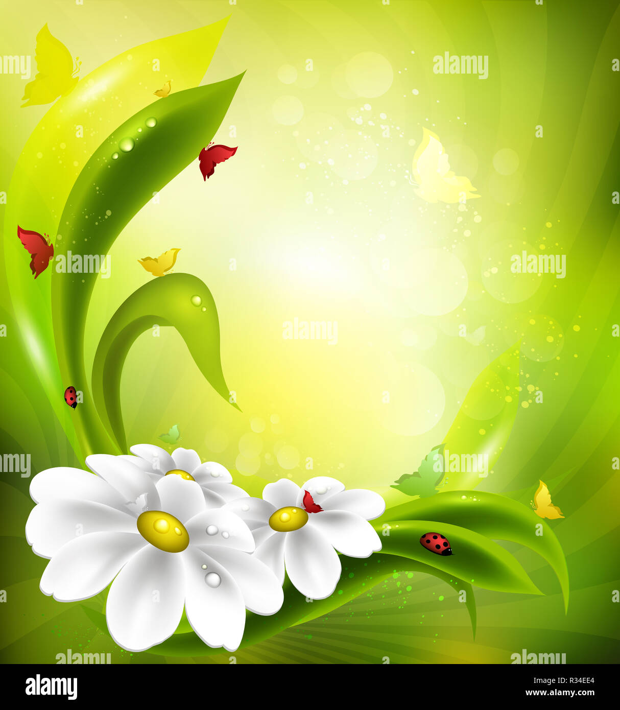 Insect body plan hi-res stock photography and images - Alamy