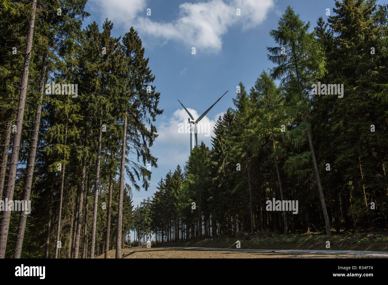 Pinwheel forest hi-res stock photography and images - Alamy